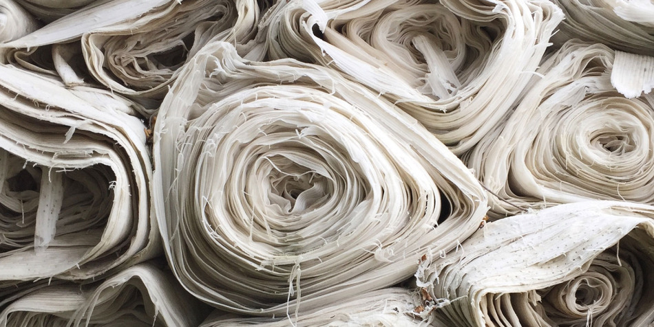 Imprimer sur du Coton | Guide Complet