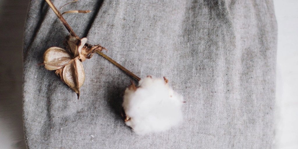 Laver du Coton | Guide Complet